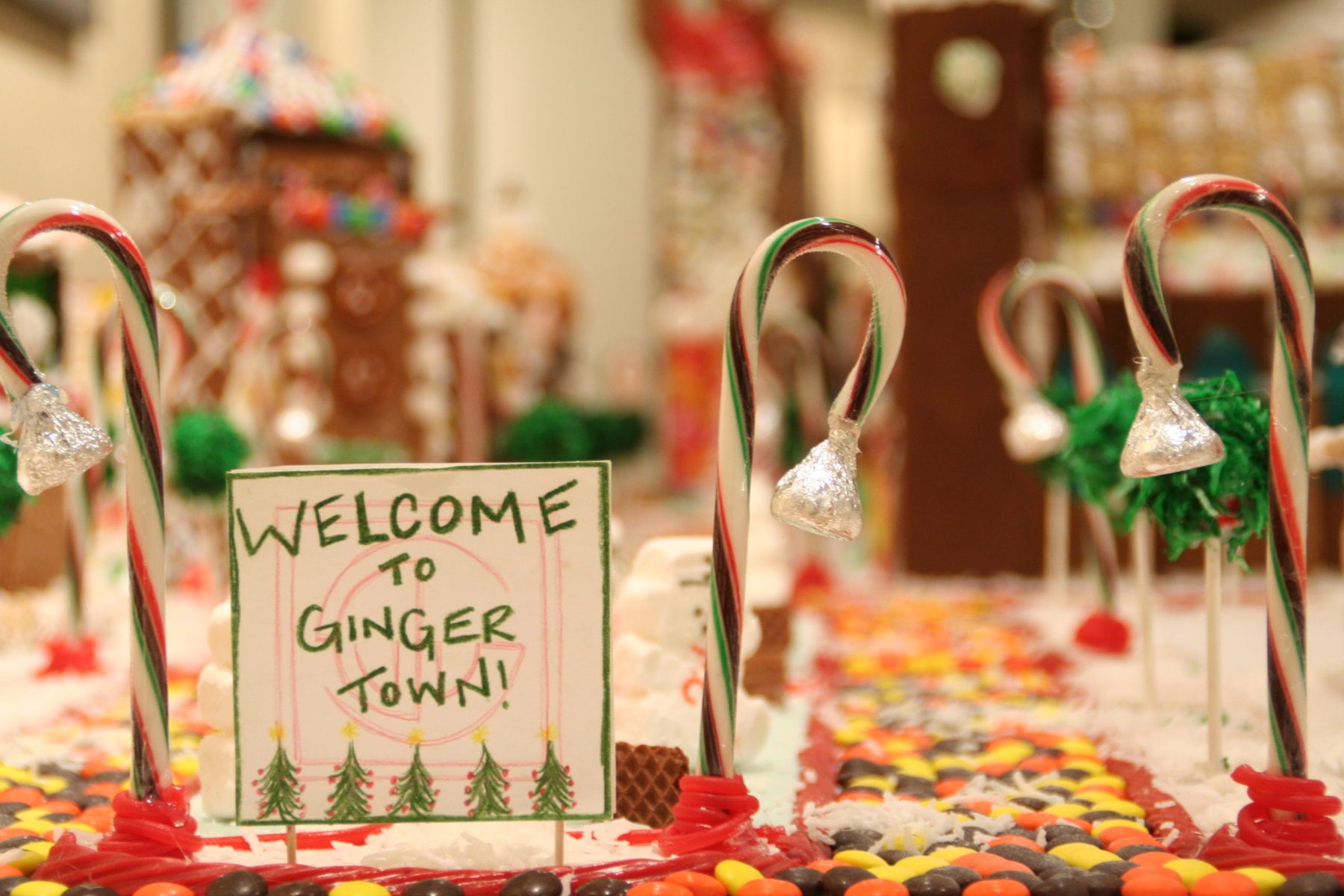 A Look at DMSAS' Favorite Holiday Tradition, Gingertown! - David M ...